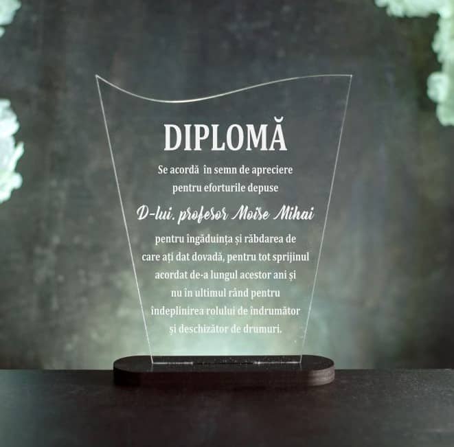 Placuta trofeu diploma profesor Bloom Atelier - Cadouri personalizate ...
